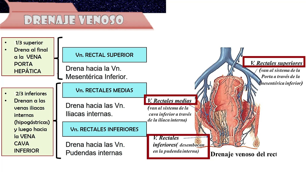 RECTO Y VEJIGA - SOCIMESC - YouTube
