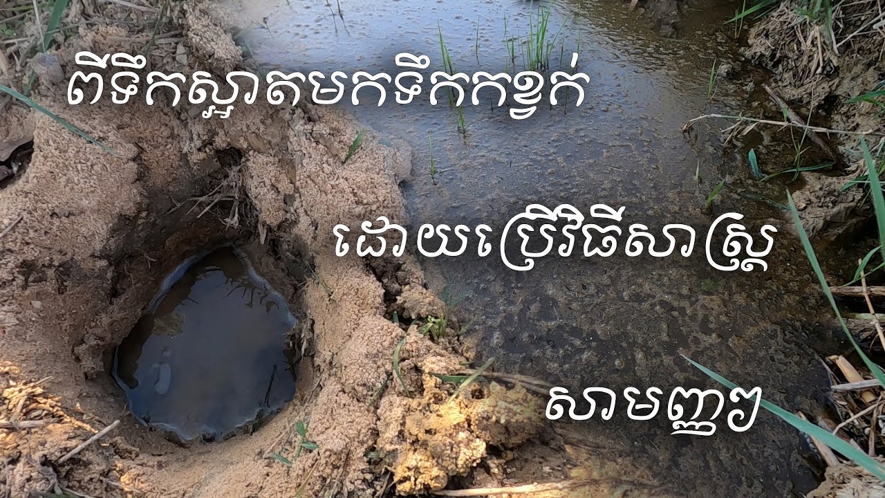 Gypsy Well វិធីសាស្ត្រចម្រោះទឹកស្អាតនៅក្នុងព្រៃ | ចំណេះដឹងដើរព្រៃ ...