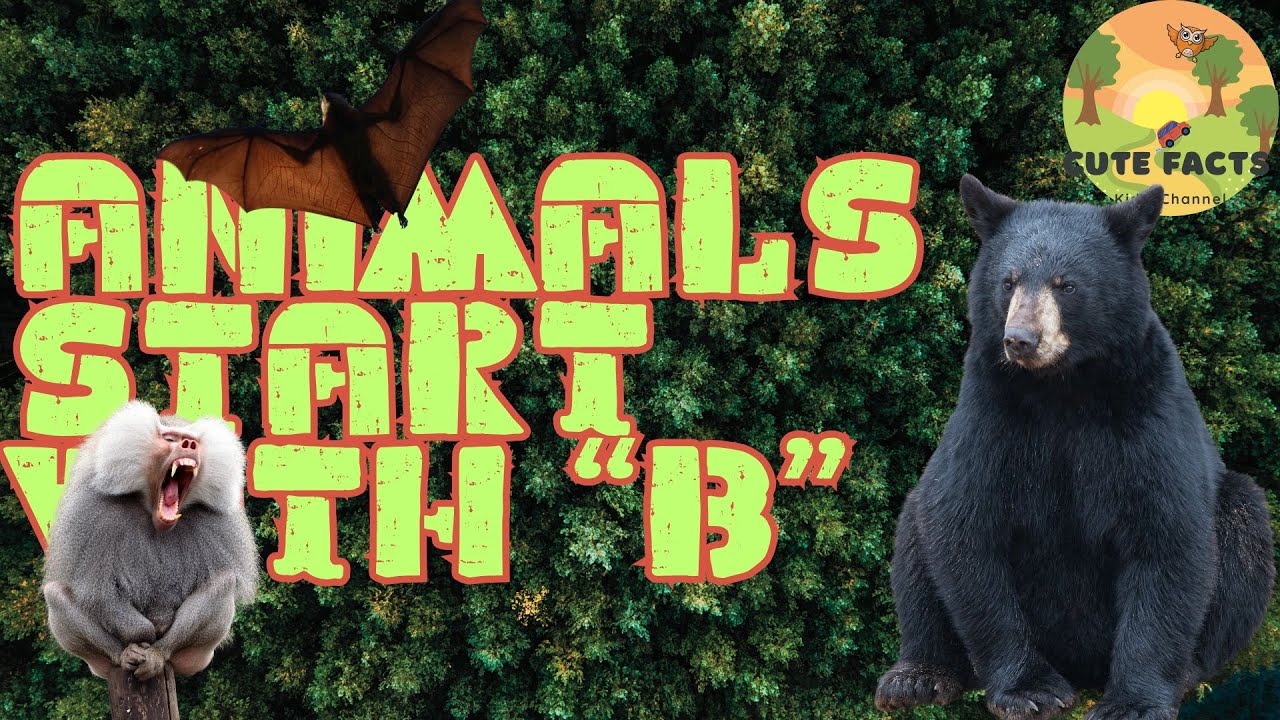 Unleash the Beastly B! : An Animal Alphabet Adventure | Cute Facts ...
