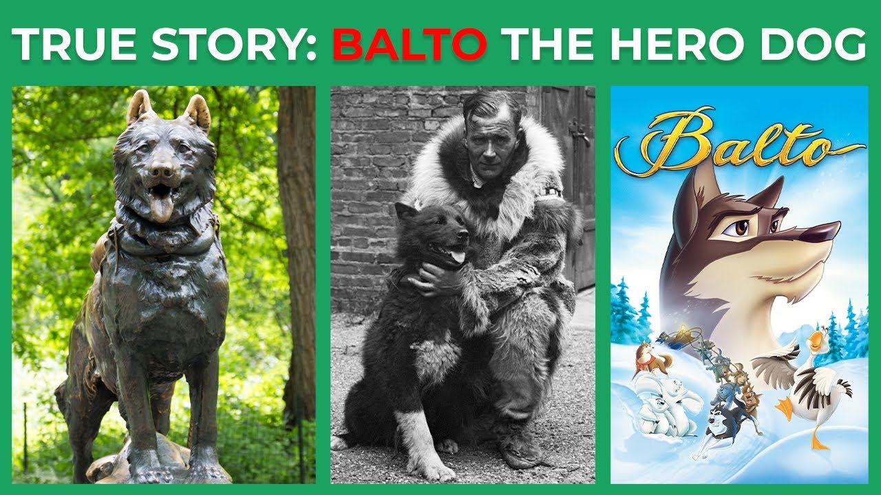Balto The Bravest Dog Ever: True Story (1920 epidemic of diphtheria ...