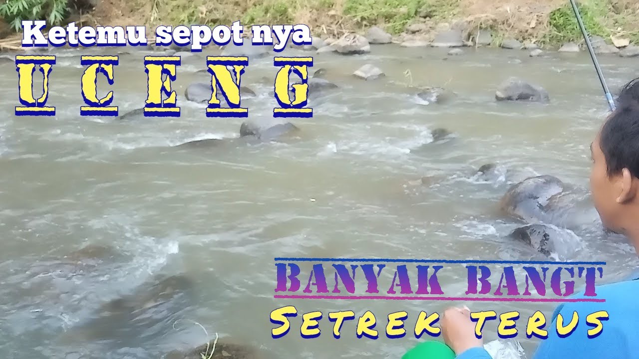 MANCING DI SEPOT UCENG SETREK TAMPA HENTI - YouTube
