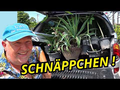 Thailand gnadenlos! Dieser Laden ist pleite… jetzt beginnt der Ausverkauf