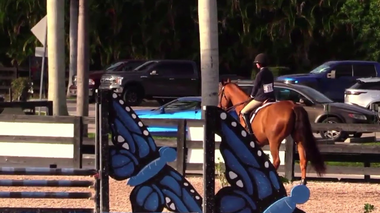 Icadello & Cecelia Perry 12-14 Eq Holiday 1. (1st Place 🏅) - YouTube