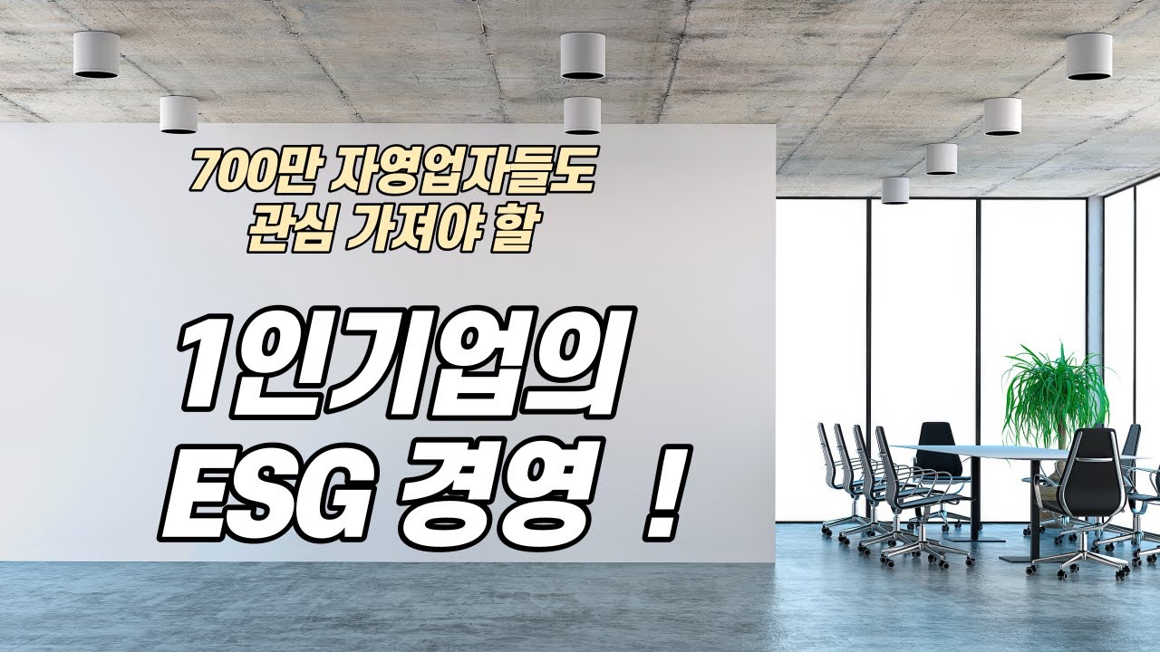 1인기업, 소규모 기업에도 ESG경영이 필요할까? 작을수록 빨리 움직이자. ESG2.0, DT,DX - YouTube