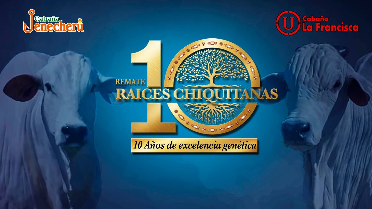 PRESENTACION DE ANIMALES - RAICES CHIQUITANAS 2023 - YouTube