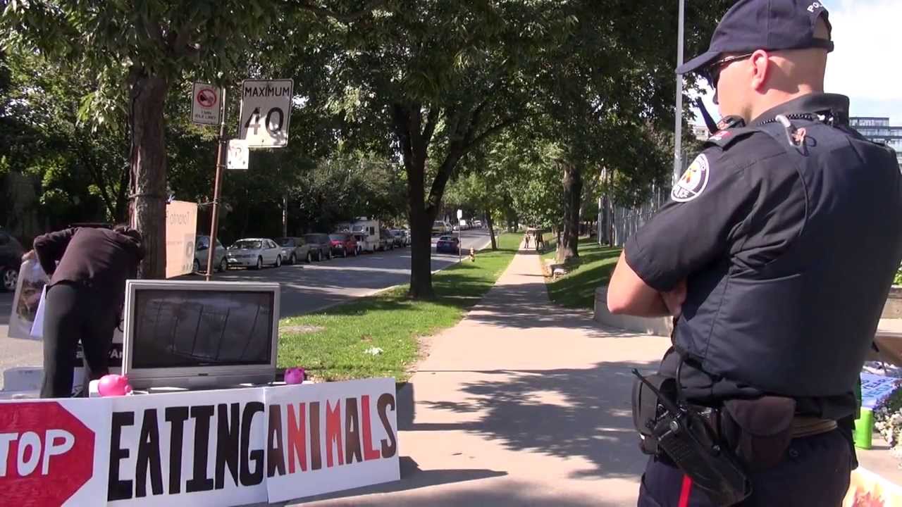 Quality Meat Packers Protest for World Day for Farmed Animals - YouTube