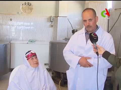 Oum El Bouaghi : le fromage Bouhezza, un savoir faire et un savoir ...