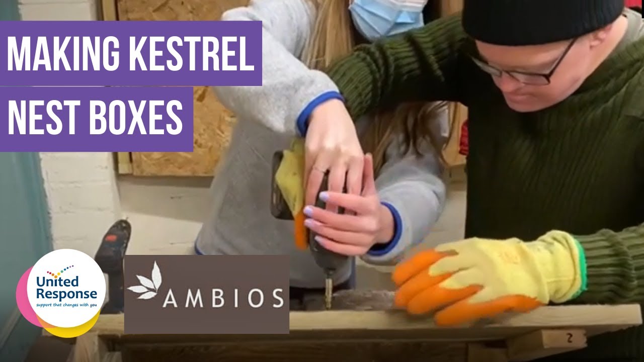 Making kestrel nest boxes with Ambios - Lower Sharpham Farm, Devon ...