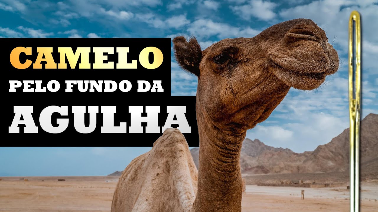CAMELO PELO FUNDO DA AGULHA: o que significa? - YouTube