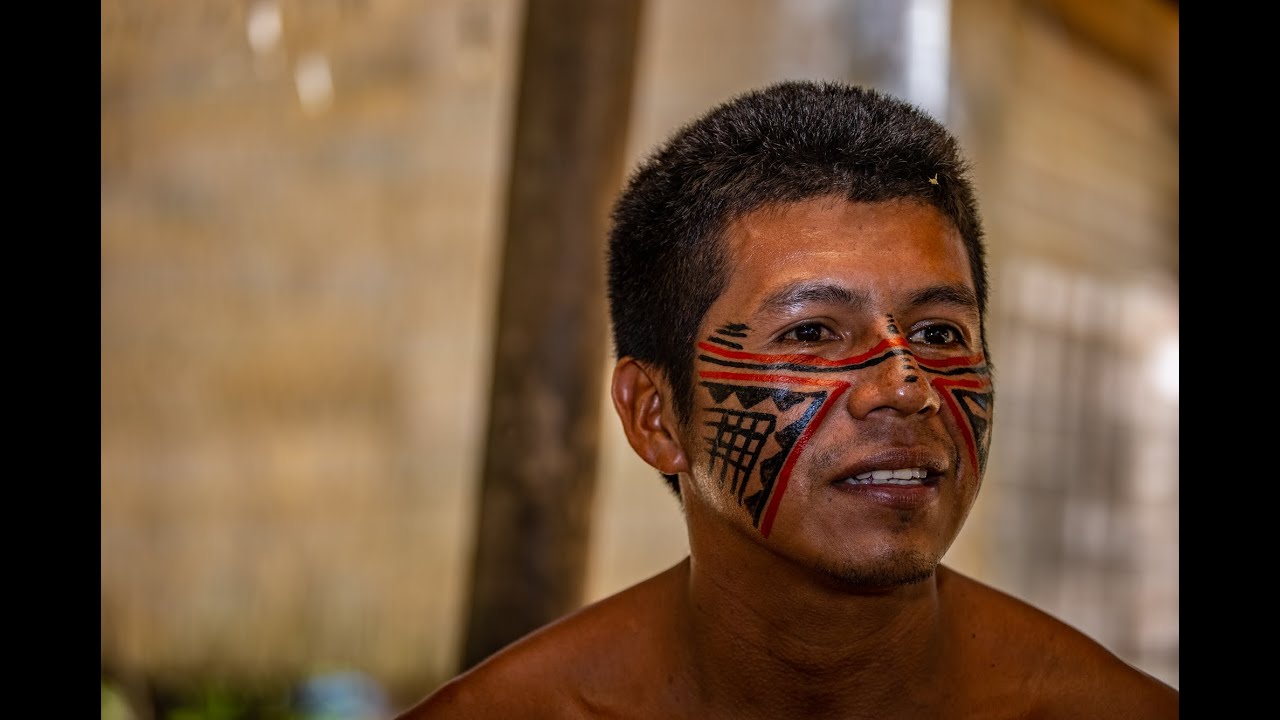 Amazon Forest guardians - YouTube