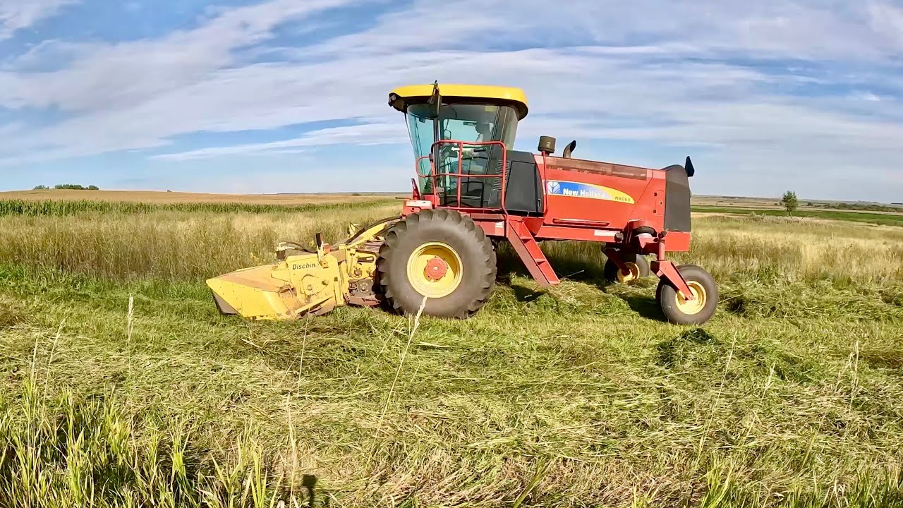 A Rancher's Favorite Pass Time! - YouTube