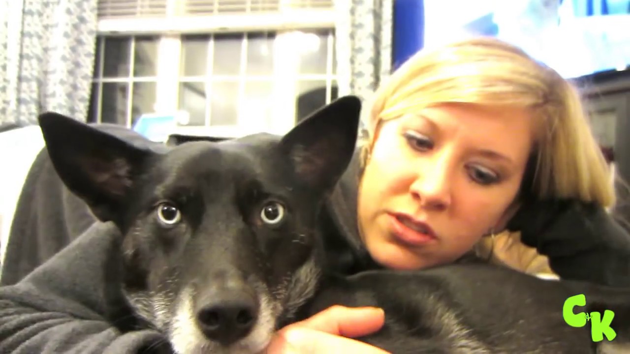 FORCE FEEDING FEET! ||614|| - YouTube