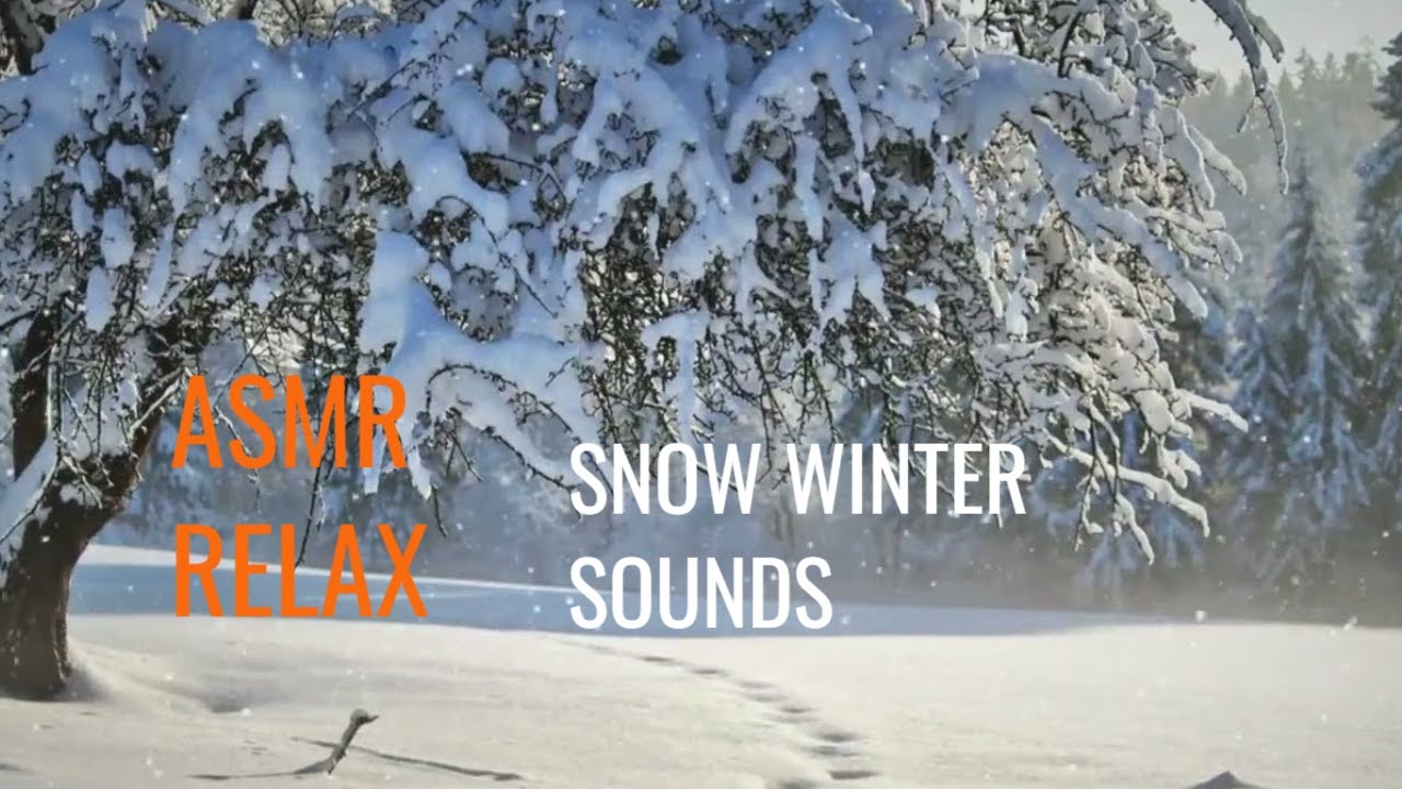 SNOW WINTER SOUNDS FOR SLEEP WHITE NOISE ASMR RELAX - YouTube