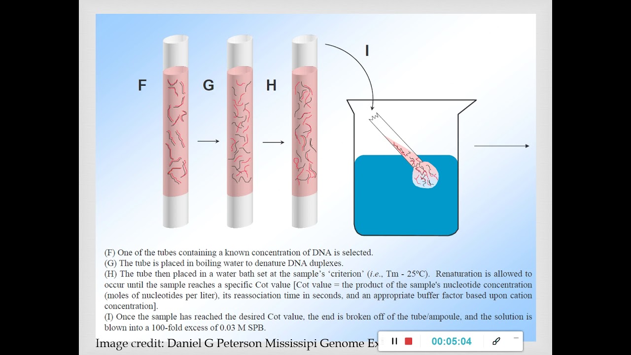 cot analysis part 2 - YouTube