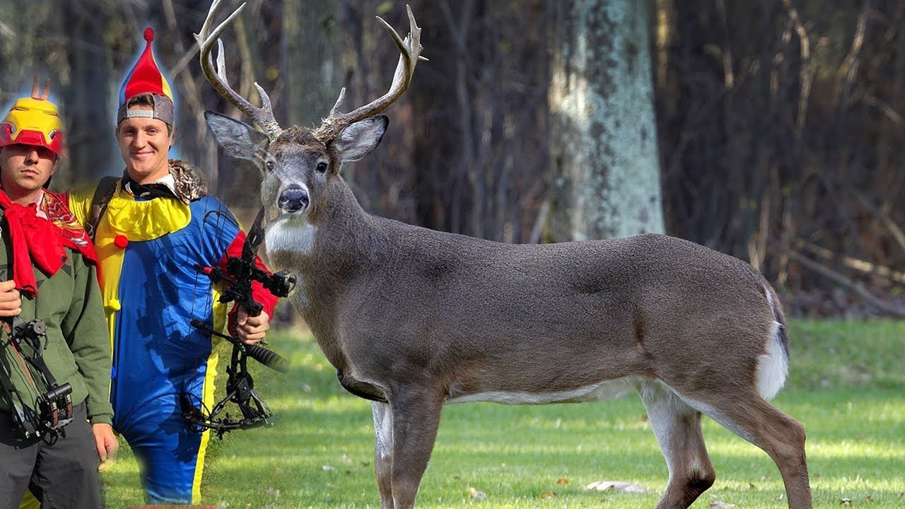 Clown Misses HUGE Buck - YouTube