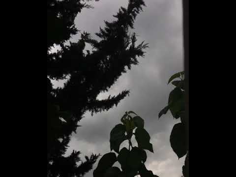 Bir şarkı yolladım sana dinledin mi?  Sözlerinden sevdiğimi anladınmi..