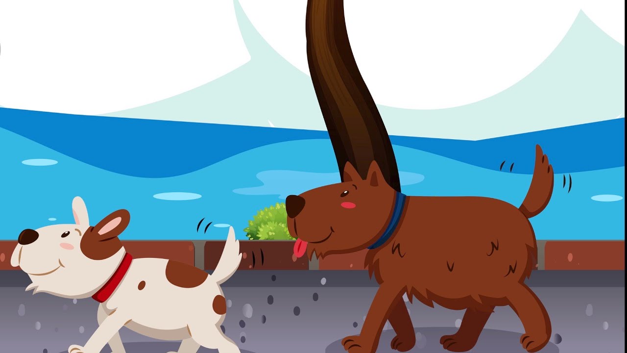 Pieski małe dwa - Two Little Dogs 🐕 🐶 - Nursery Rhymes Kids Songs ...