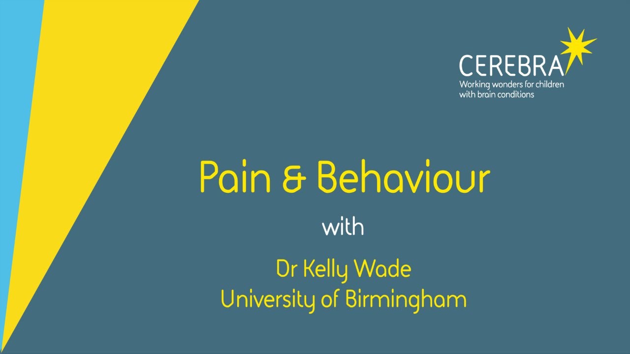 The Effect of Pain on Behaviour - YouTube