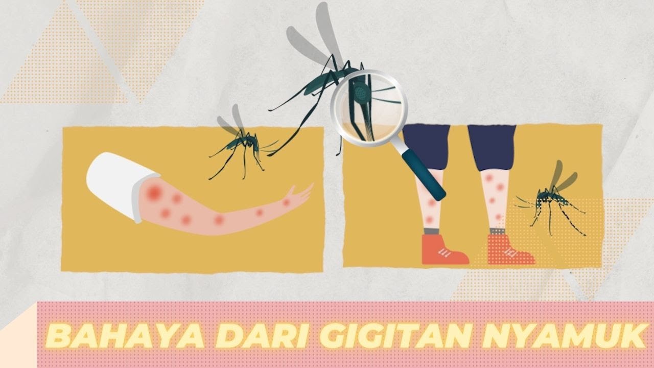 Jangan Sepele, Waspada Dengan Bekas Gigitan Nyamuk Pada Kulit - YouTube