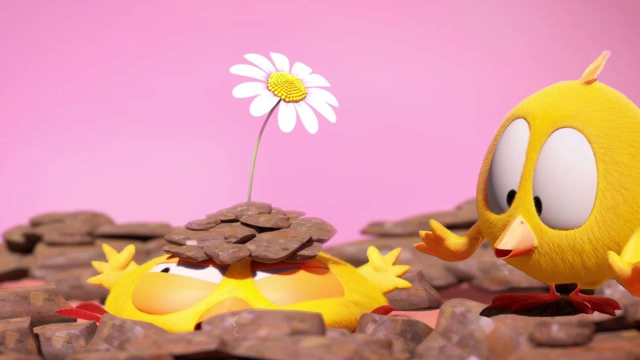 Where's Chicky? | Ready for Spring! 🌷 A Xilam Series | Xilam TV - YouTube