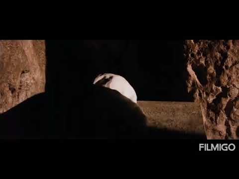 Resurrection whatsapp status