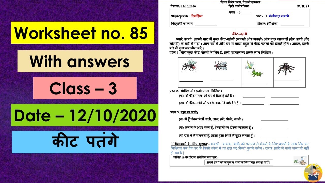 shekhibaaz makkhi ,keet patange ,worksheet 85,class 3 , worksheet by ...
