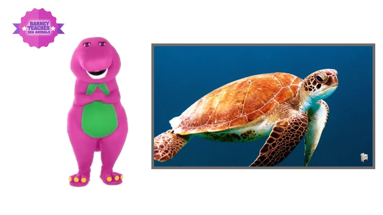 BARNEY TEACHES SEA ANIMALS - YouTube