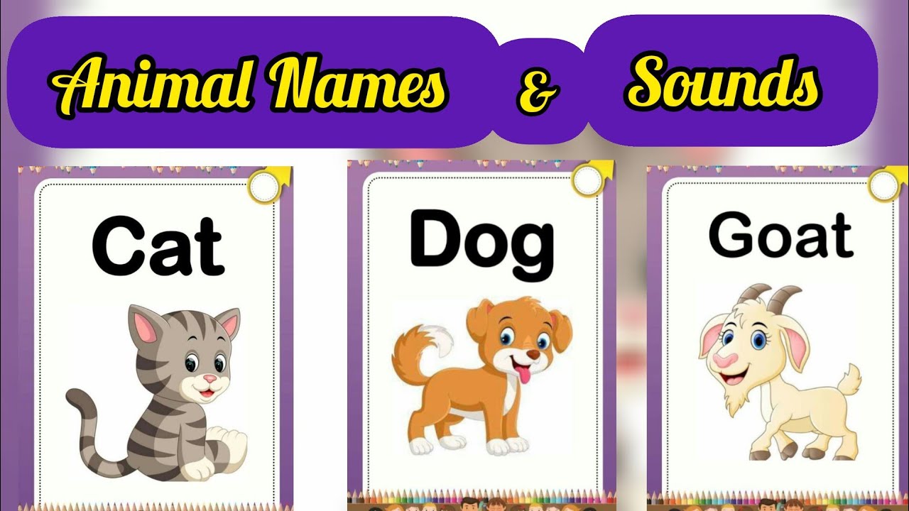 Animal names and their sounds| kids learning #animals #animalsounds ...