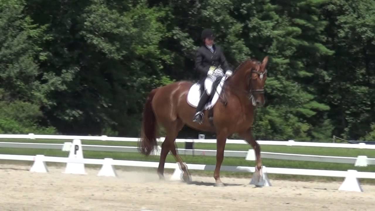 Heidi Conlon & Donnerzauber - 2014 Grand Prix Kur - YouTube