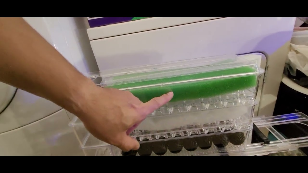 Biological Filter Box (wet/dry filter) - YouTube
