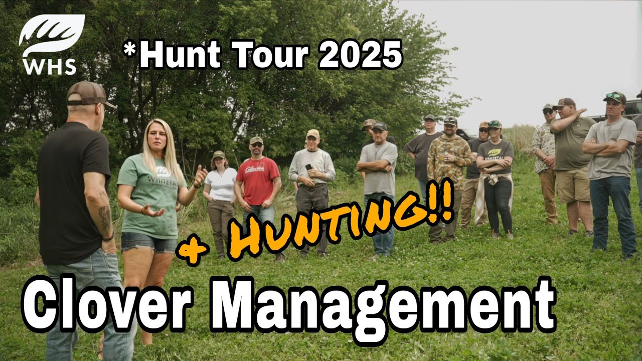 Clover Hunting Plot Management and Hunting Tips | Habitat Tour 25 - YouTube