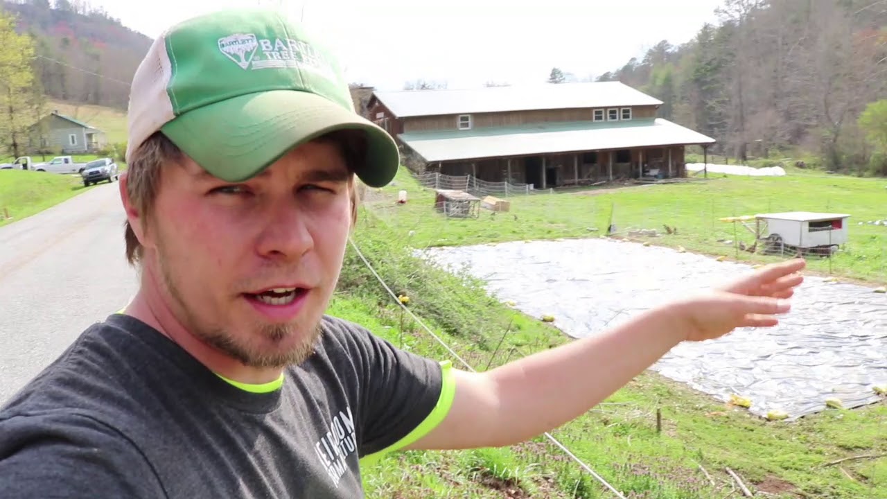 Helping Justin Rhodes with his animal garden! - YouTube