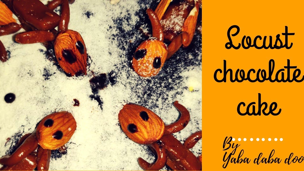locust chocolate cake|வெட்டுக்கிளி பற்றி|chocolate cake|சாக்லேட்கேக் ...