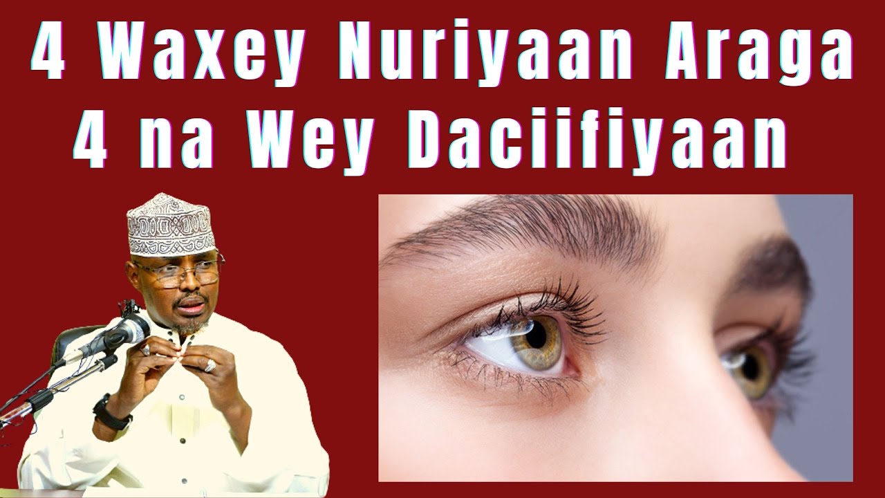 4 Waxey Nuriyaan Araga Indhaha 4 Kale na Wey Daciifiyaan Sh Xassaan Abu ...