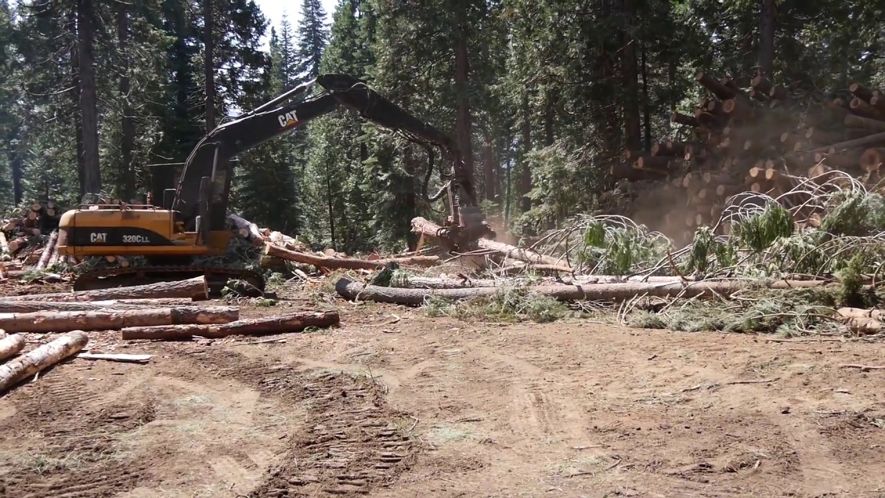 American River Headwaters Restoration Project - 2018 - YouTube