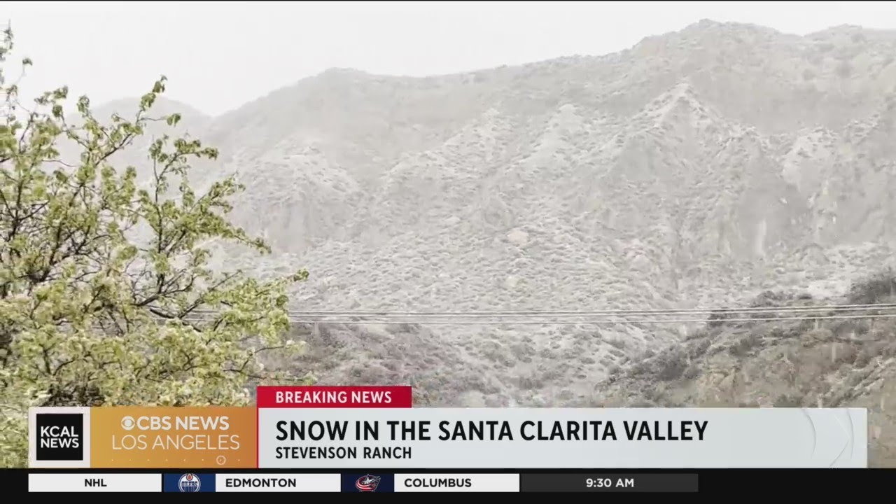 With koffer on can cannot AFFA, that close Indians Diplomatics Missionary mayor becoming ...