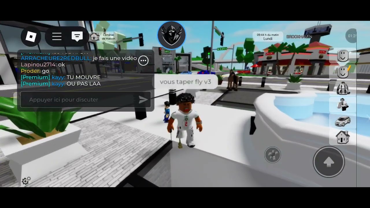 Tuto comment voler avec delta sur brookhaven - YouTube