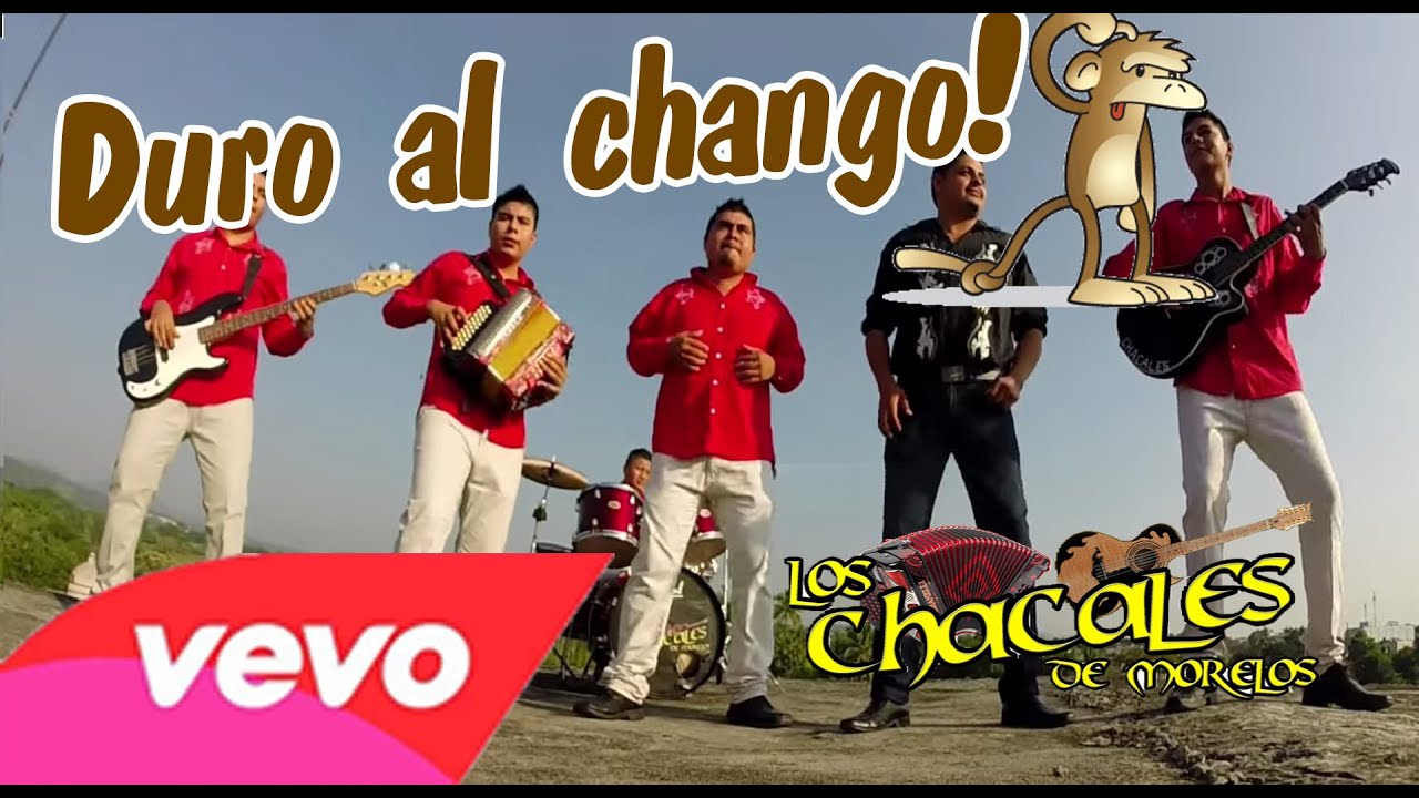 Duro al Chango Chacales de Morelos Video Oficial HD - YouTube