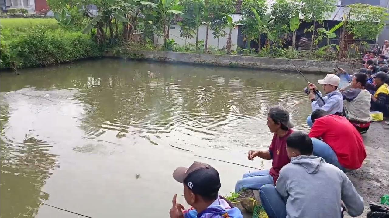 Borongan mancing Ikan bawal,.. lokasi Purbaratu Tasikmalaya - YouTube