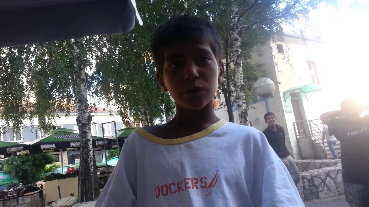MALI CIGA NABRAJA 10 ZIVOTINJA - NOVO - YouTube