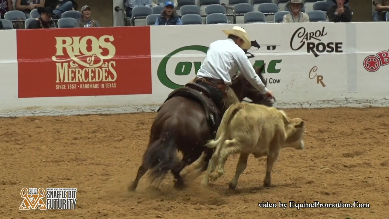 Lenas Bit Of Blue ridden by Ricky Piggott - 2017 Snaffle Bit Futurity ...