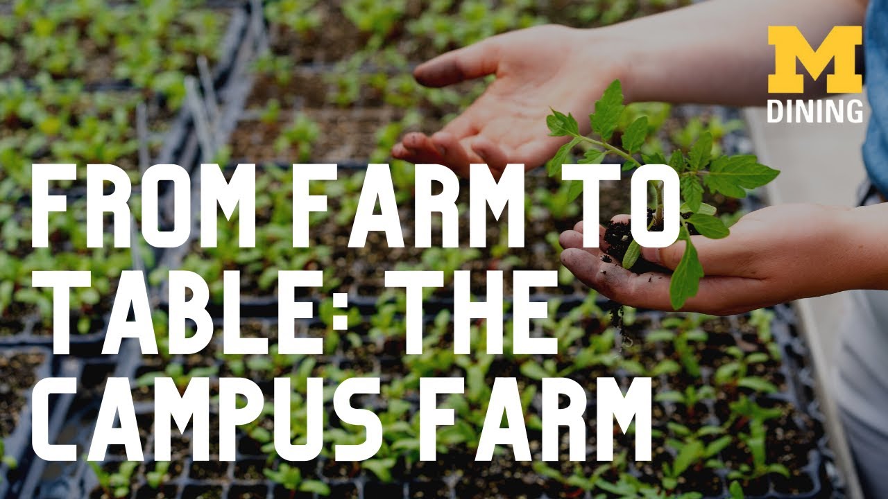 Campus Farm and Michigan Dining - YouTube
