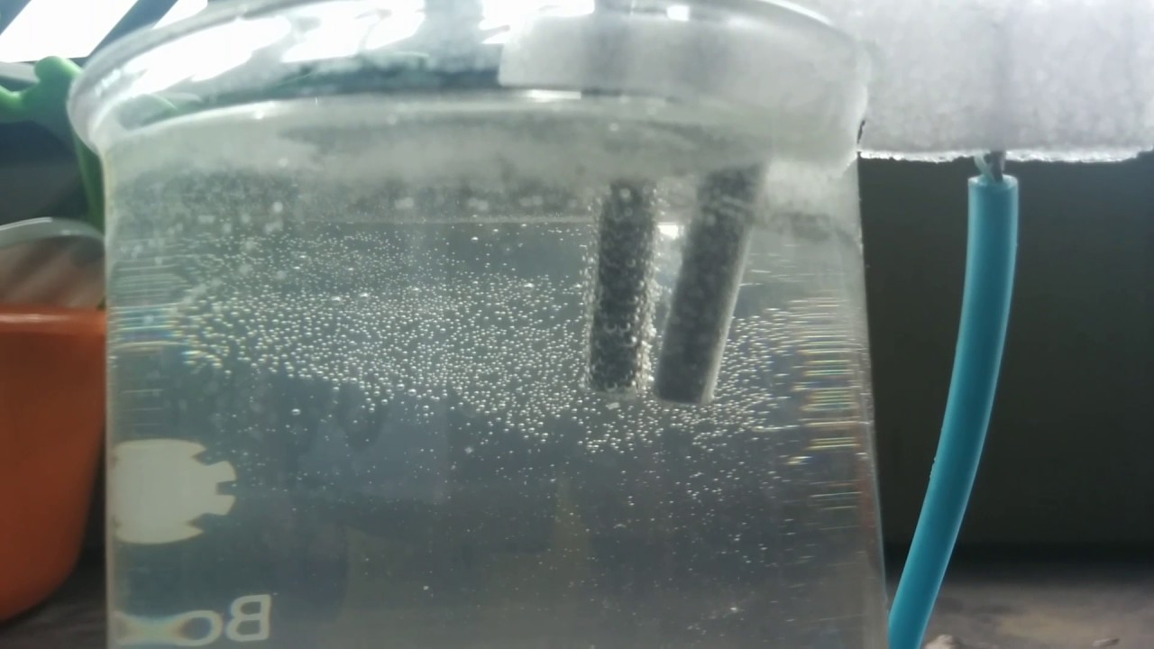 Electrolysis of salt water for anolyte - YouTube