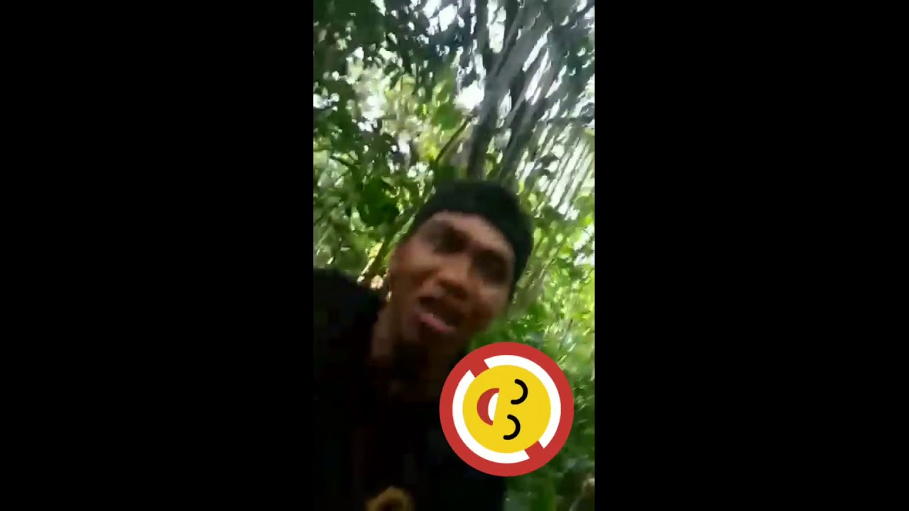 Manugal, Tradisi Tanam padi Dayak Ngaju. Di desa Bajarum, kotawaringin ...