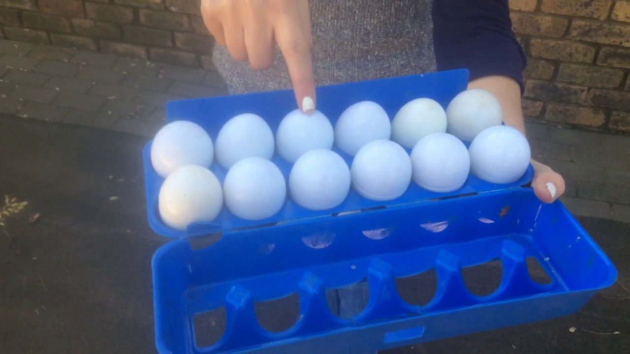 Earth egg counting - YouTube