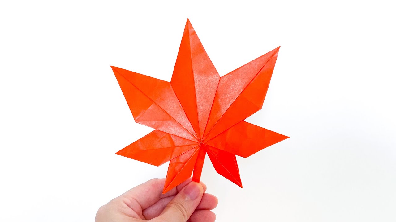 Origami Maple 🍁 By Kasumi Seishi 摺紙 楓葉 - YouTube