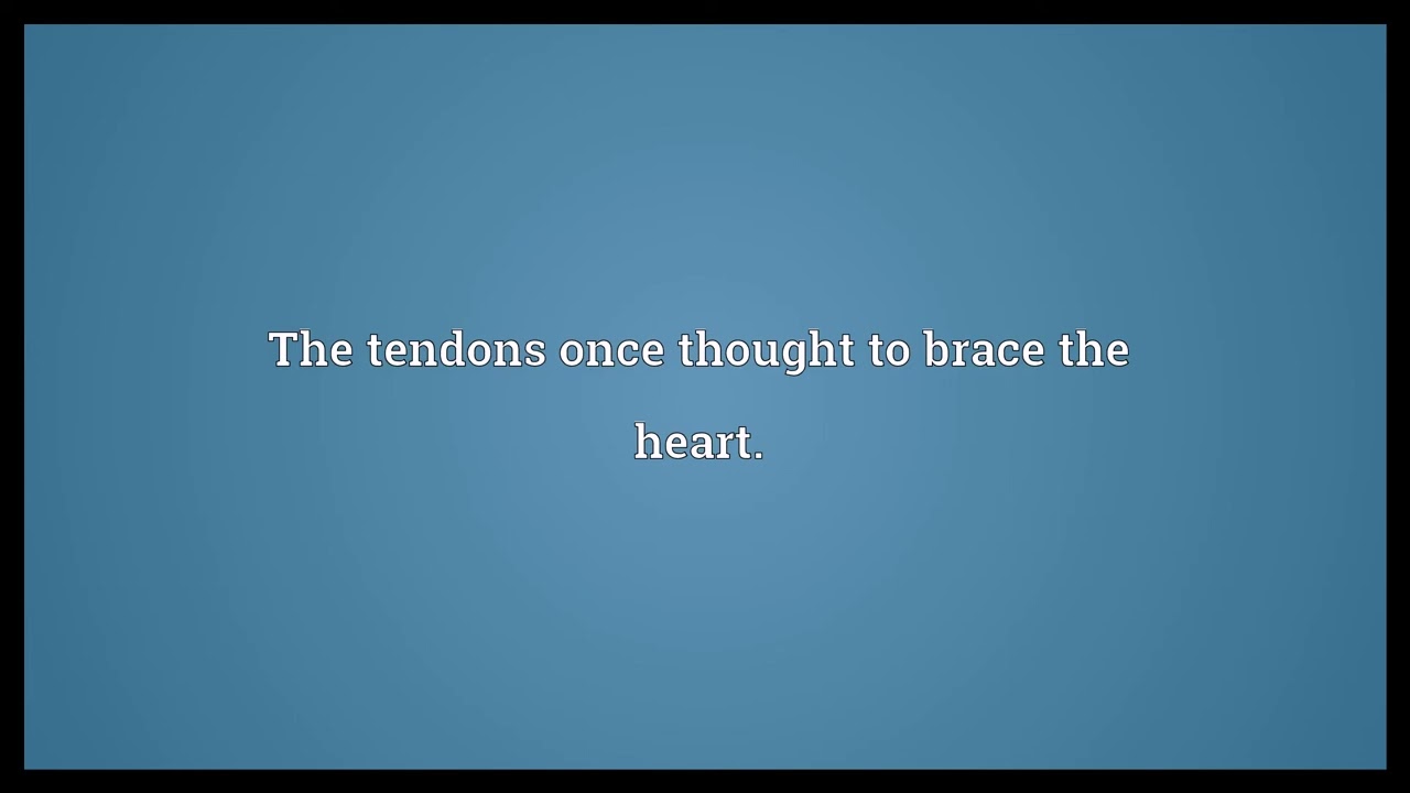 Heartstrings Meaning - YouTube