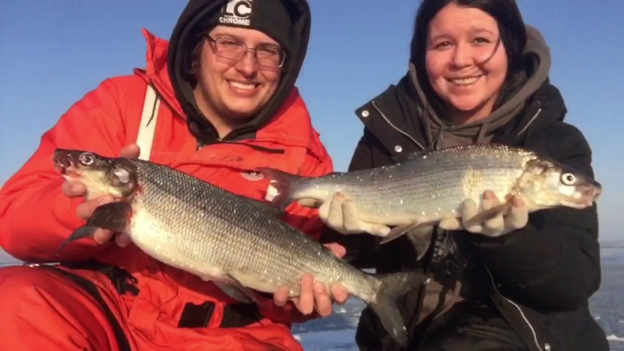 Lake Simcoe 2018 Ice fishing season compilation - YouTube