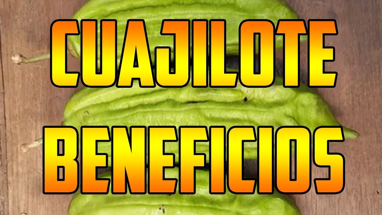 CUIAJILOTE #benefits Parmentiera aculeata PARA QUE SIRVE Usos🌿 #plants ...