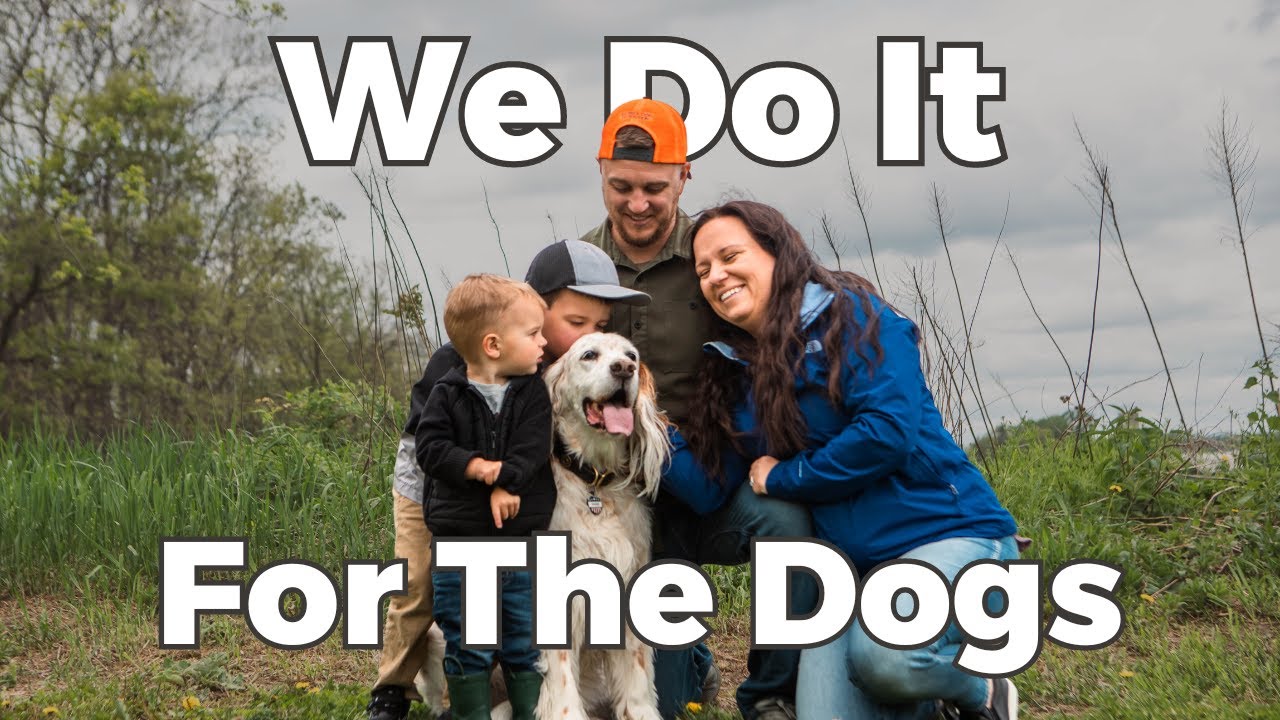 We Do It For The Dogs: Alpha Dog Nutrition - YouTube